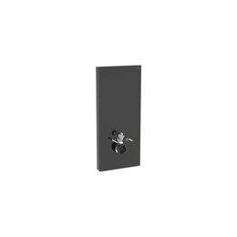 Geberit Wand-WC-Modul Monolith Plus Bauh. 114cm, Fr. Gl. sw, S. Alu SW-chrom (131231SJ7)
