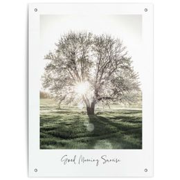 SONSTIGE Outdoor Poster SUNBEAM TREE