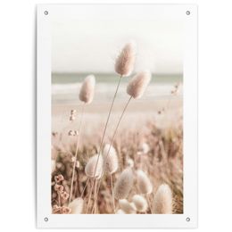 SONSTIGE Outdoor Poster GRASSES