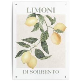 SONSTIGE Outdoor Poster LIMONI