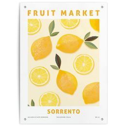 SONSTIGE Outdoor Poster LEMONS