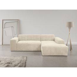 WERK2 Ecksofa &raquo;Zeus-L modern & zeitlos, Breite 253 cm, bequemes Sofa&laquo; Curvy Trend Ecksofa mit urbaner Optik beige 90% Polyester, 10% Nylon