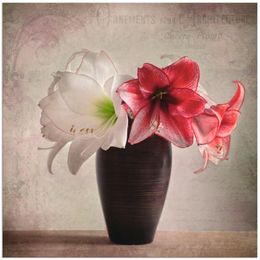Artland Alu-Dibond-Druck &raquo;Amaryllis Vintage I&laquo; Blumen 1 Stk. tlg. f&uuml;r Innen- und Au&szlig;enbereich geeignet, Outdoorbild beige