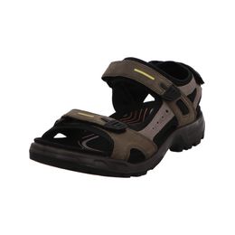 Ecco Sandalette in dunkelgrau | Gr.: 45