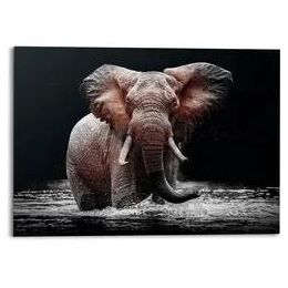 Deco-Panel Reinders "Elefant", schwarz (farbe bild(er): schwarz), B:140cm H:100cm T:2cm, MDF, Bilder