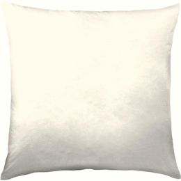 Kissenbezug Kaeppel "Uni Mako-Satin, 100% Baumwolle", beige (champagner), B:40cm L:80cm, Baumwolle, Obermaterial: 100% Baumwolle, Kissenbez&uuml;ge, Kissenbezug, Kissenh&uuml;lle in vielen sch&ouml;nen Farbt&ouml;nen mit Rei&szlig;verschluss