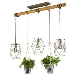 Trio LEUCHTEN Pendelleuchte "Plant", grau (nickelfarben), 3, H: 150cm, Leuchten, Pendelleuchte