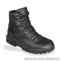 BW Bergschuhe Original gebraucht, Gr&ouml;&szlig;e 45.5/295