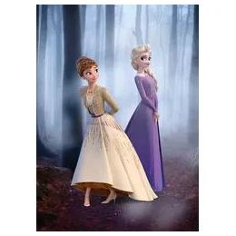 Bild Komar "Frozen Wood Walk", bunt (farbe bild(er): bunt), B:50cm H:70cm, Holz, Papier, Bilder, Bild, Wandbild zur Dekoration im Kinderzimmer - ohne Rahmen