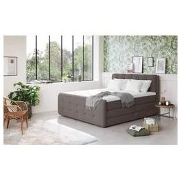 Boxspringbett COTTA "Fort mit Bettkasten, inkl. Topper", grau (dunkelgrau), B:161cm L:228cm, 100% POLYESTER (PES), Komplettbetten, Boxspringbett, erh&auml;ltlich in verschiedenen Breiten (160cm, 180cm & 200cm)