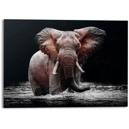 Deco-Panel Reinders "Elefant", schwarz (farbe bild(er): schwarz), B:140cm H:100cm T:2cm, MDF, Bilder