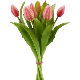Kunsttulpe Creativ green "Tulpenbund", rosa, H:32cm, Kunststoff, Kunstpflanzen, aus 7 Einzelstielen