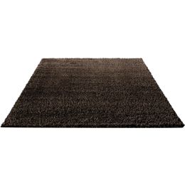 Hochflor-Teppich Esprit "Cosy Glamour 2.0", braun (braun, goldfarben), B:40cm H:40mm L:60cm, Polypropylen (PP), Teppiche, Hochflor-Teppich, Langflor, Shaggy, Wohnzimmer