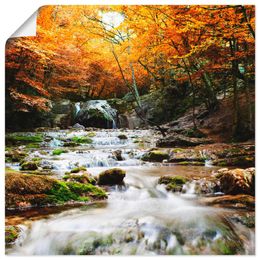 Poster Artland "Herbstlicher Wasserfall", braun (farbe bild(er): braun), B:40cm H:40cm, Bilder, Poster, ohne Rahmen