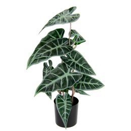 Kunstpflanze I.GE.A. "Calathea", gr&uuml;n, B:24cm H:45cm L:20cm, Obermaterial: 80% Polyester, 20% Kunststoff, Kunstpflanzen, Kunstpflanze, Kunst-Pflanze Seidenblumen ZimmerpflanzeZebrina Alocasia Sanderiana