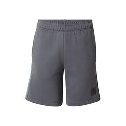 Champion Authentic Athletic Apparel Shorts Herren Gr&ouml;&szlig;e 33 rauchblau / dunkelgrau / schwarz