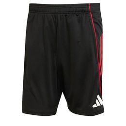 adidas Performance Workout Pants 'Ajax Tiro 25 Competition' male Black size S