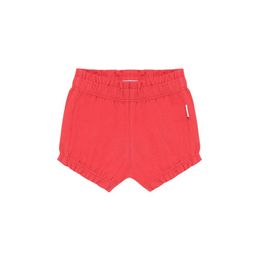 Noppies Shorts in Poinsettia | Gr.: 62