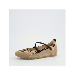 Paul Green Ballerina in beige | Gr.: 40