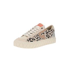 Palladium Sneaker low 94663-243-M in Beige | Gr.: 38