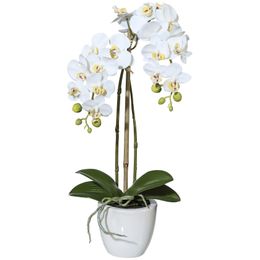 Kunstpflanze Creativ green "Orchidee Phalaenopsis", wei&szlig;, H:43cm, Kunststoff, Kunstpflanzen, Kunstpflanze, im Keramiktopf