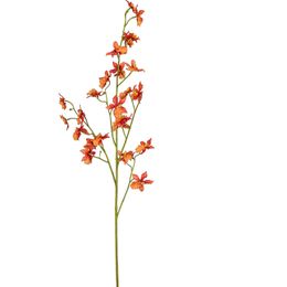 Gasper Kunstpflanze Epidendrum