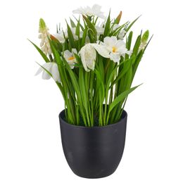 Gasper Kunstpflanze Fr&uuml;hlingsblumen