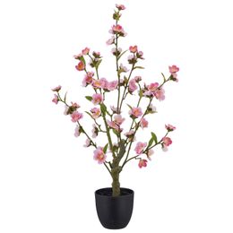 Gasper Kunstpflanze Kirschbl&uuml;te