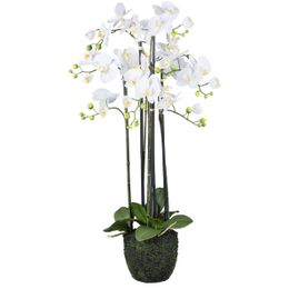 Kunstorchidee Creativ green "Orchidee Phalaenopsis", wei&szlig;, H:93cm, Kunststoff, Kunstpflanzen, Kunstorchidee, im Erdballen und mit real-touch-Bl&uuml;ten