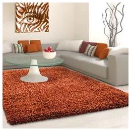 Hochflor-Teppich Ayyildiz TEPPICHE "Life Shaggy 1500" Gr. 8, orange (terra), B:300cm H:30mm L:400cm, Kunstfaser, Teppiche, Langflor, uni, gro&szlig;e Farbauswahl, robust, auch als L&auml;ufer und in rund