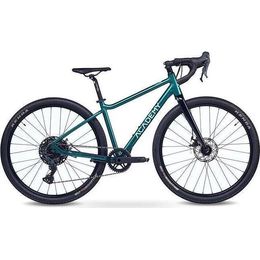 Academy S-Grade Gravel 7 Jugendrad Diamant Knick 27.5" forest | Dienstrad-Leasing m&ouml;glich