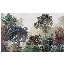 Vliestapete Komar "Digitaldruck Vlies - Bois Brumeux - Gr&ouml;&szlig;e 400 x 250 cm", bunt (gr&uuml;n, blau, wei&szlig;), B:400m L:250m, Vlies, Tapeten, Wohnzimmer, Schlafzimmer