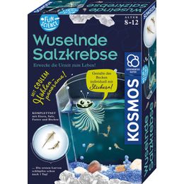 Kosmos Kinder Experimentierkasten "Fun Science Wuselnde Salzkrebse", blau, Experimentierk&auml;sten, Made in Germany