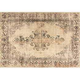 Teppich KLEEN-TEX HOME "Lisora", beige (bunt), B:160cm H:10mm L:230cm, Obermaterial: 100% Polyester, Teppiche, Teppich