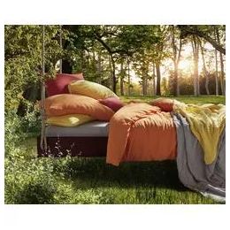 Bettw&auml;sche Fleuresse "Provence in Gr. 135x200, 155x220 oder 200x200 cm", gelb (lemon), B/L: 200cm x 200cm, 1 Stk., 2 Stk., Halbleinen, B/L: 80cm x 80cm & 80cm x 80cm, 3 Stk., Halbleinen, Obermaterial: 50% Baumwolle, 50% Leinen, Bettw&auml;sche, Bettw&auml;sche, Halbleinen, 50% Baumwolle, 50% Leinen, Gr. 135x200, 155x220, 200x200cm