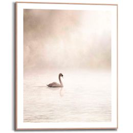 Poster Reinders, B:40cm H:50cm T:1,6cm, beige, MDF, Wohnzimmer, Bilder, "Schwan im Nebel"