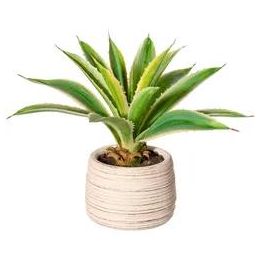 K&uuml;nstliche Zimmerpflanze Creativ green "Agave im Zementtopf", gr&uuml;n, H:25cm, Obermaterial: 100% Polyethylen, Kunstpflanzen, K&uuml;nstliche Zimmerpflanze