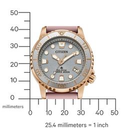 Citizen Damen Taucheruhr "Promaster Eco-Drive Diver", rosa, Armbanduhren, Armbanduhr, Solar, Damenuhr, analog, Tag, Batterie-Entladungsanzeige