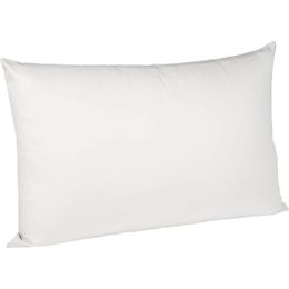 Kissenbezug Fleuresse, B:40cm L:60cm, beige, Mako-Satin, Mako-Satin, Kissenbez&uuml;ge, "Colours Mako Satin, 100% Baumwolle, mit Rei&szlig;verschluss", Mako