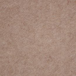OTTO HOME Teppichboden "Innenraumverkleidung Superflex, f&uuml;r Wohnmobil, Caravan, Boot & Auto", B : 200cm 1 Stk., 4mm, L: 2.000cm, beige, Schlafzimmer,