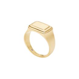 Fossil Damen Fingerring "Schmuck Geschenk Edelstahl RAQUEL", 17,5, Edelstahl, 4mmgelbgoldfarben, Edelstahl, Fingerringe