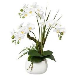 Kunstorchidee Creativ green "Deko-Orchidee Phalaenopsis im Keramiktopf", wei&szlig;, B:20cm H:46cm L:20cm, Obermaterial: 95% Polyethylen, 5% Polyester, Kunstpflanzen