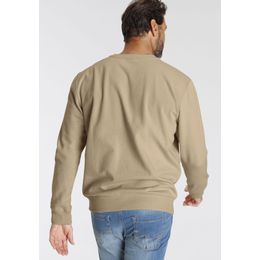 H.I.S. H.I.S Herren Sweater, beige, Gr. M, bestickt, Sweatware, Obermaterial: 60% Baumwolle, 40% Polyester, Sweatshirts, Langarm, lockere Passform,