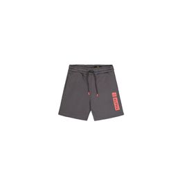 Herren Shorts "Alpha Puff Print Short", grau, Gr. XS, Alpha Industries, Obermaterial: 80% Baumwolle, 20% Polyester, Hosen
