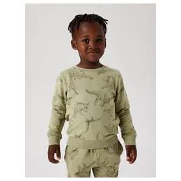 Sweatshirt name it "NMMVARON f&uuml;r Jungen mit Alloverprint und Rippb&uuml;ndchen", Jungen, Gr. 104, gr&uuml;n (tea), Sweatware, Obermaterial: 100% Baumwolle, bedruckt, normal normal, Rundhals, Rippb&uuml;ndchen, Sweatshirts Sweatshirt, bedruckt, casual, regular fit, Baumwolle, Rundhals