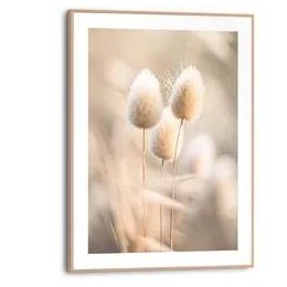 Poster Reinders "Plumes", beige (farbe bild(er): beige), B:30cm H:40cm T:1,6cm, Bilder, Poster, Wohnzimmer - Grasfedern - Beige - MDF - Blumen und Pflanzen - 30x40 cm