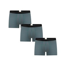Albero Natur Boxershorts '3er-Pack Herren Trunkshorts aus Bio-Baumwolle 3P2121' Herren Gr&ouml;&szlig;e XXL petrol