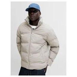 Jack & Jones Steppjacke JACK & JONES "JJESOHO PUFFER COLLAR SN", Herren, Gr. S, grau (dove), Web, Obermaterial: 100% Polyester, unifarben, regular fit, Rippb&uuml;ndchen, Jacken Steppjacke