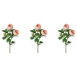 Kunstblume Creativ green "Peonienzweig", rot (lachs), B:13cm H:70cm T:17cm, Obermaterial: 85% Polyester, 15% Polyethylen, Kunstpflanzen
