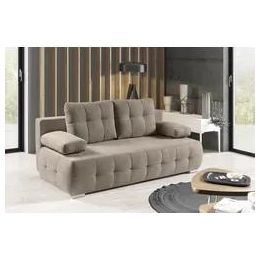 Schlafsofa WERK2 "Indigo Bettsofa mit Bettkasten, Breite 205cm, hochwertige Verarbeitung", grau (taupe), B:205cm H:90cm T:95cm, 100% Polyester, Sofas, Schlafsofa, 2-Sitzer Sofa und Schlafcouch mit Federkern & Bettkasten